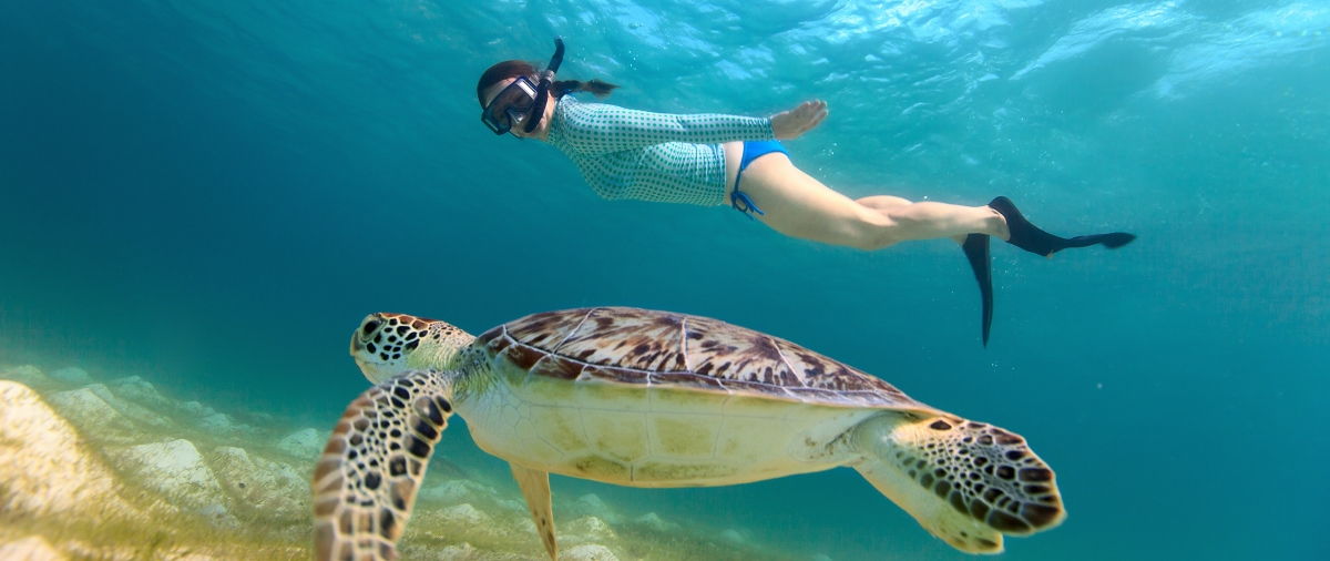Los Roques Full Day - Los mejores precios en Full Day y Posadas en Los ...